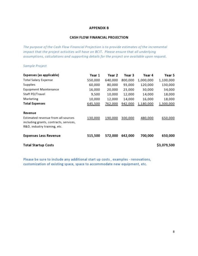 32+ Sample Financial Projections Template in Excel & Word Format