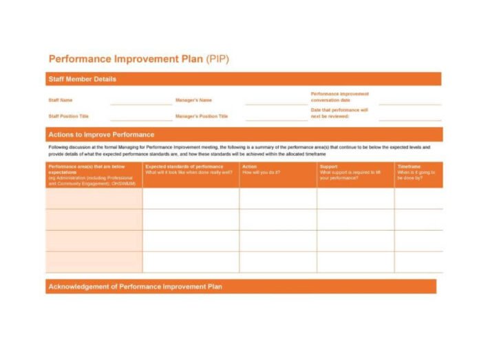 38+ Sample Performance Improvement Plan Templates With Roadmap