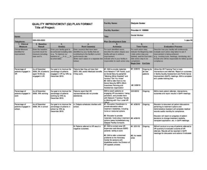 38+ Sample Performance Improvement Plan Templates With Roadmap