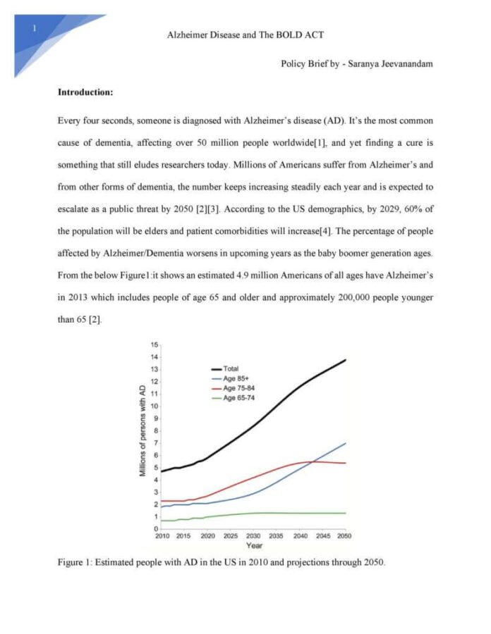 38+ Policy Brief Template With Overview And Examples