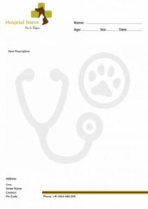 15+ Sample Doctor's Prescription Templates